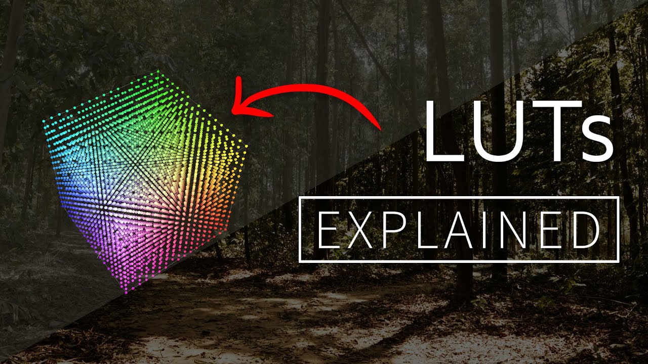 Filter (Mask) > Colors > LUT - Feature Requests - Krita Artists