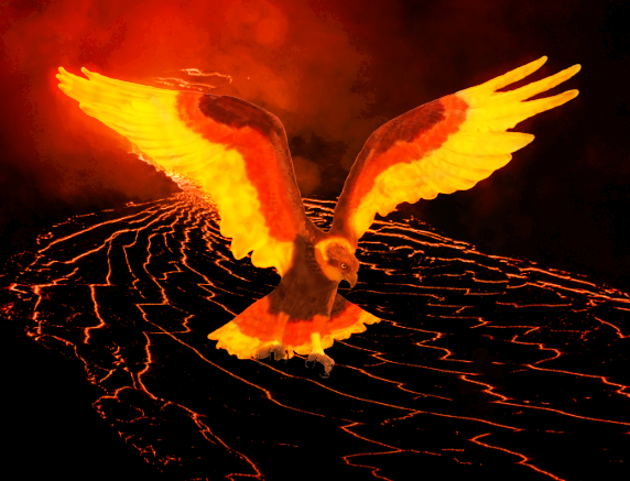 A female phoenix who is curious about the cameraman - Finished Artworks ...