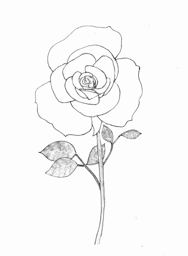 how to draw manga rose